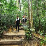 Gasing Hill - The best place to hike in Kuala Lumpur (update 2023)