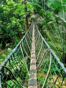 Gasing Hill - The best place to hike in Kuala Lumpur (update 2023)