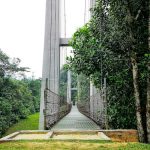 Gasing Hill - The best place to hike in Kuala Lumpur (update 2023)