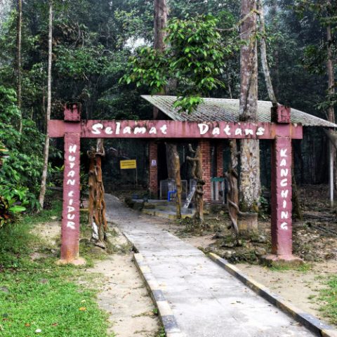 Kanching waterfalls- enjoy the serenity of the seven cascades of waterfalls