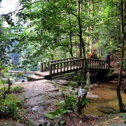 Kanching waterfalls- enjoy the serenity of the seven cascades of waterfalls