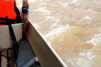 Taman Negara - A back to nature 3D2N adventure in the rainforest