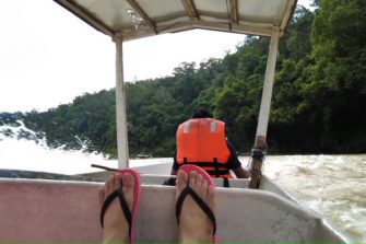 Taman Negara - A back to nature 3D2N adventure in the rainforest