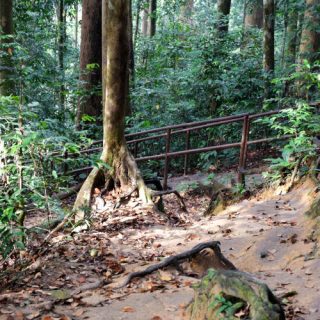 Kanching waterfalls- enjoy the serenity of the seven cascades of waterfalls