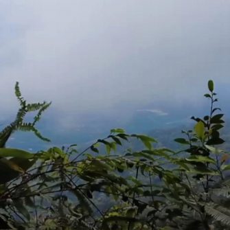 Gunung Angsi hiking from Bukit Putus - my first hand experience