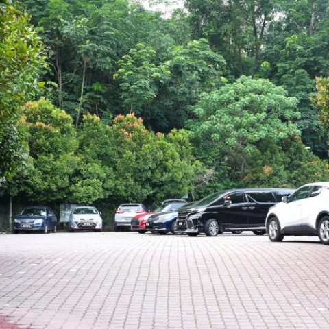 Gasing Hill - The best place to hike in Kuala Lumpur (update 2023)