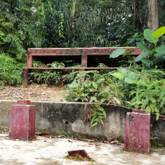 Gasing Hill - The best place for hiking in Kuala Lumpur