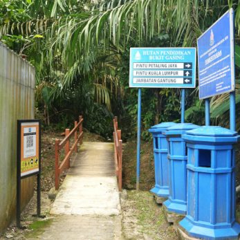 Gasing Hill - The best place for hiking in Kuala Lumpur