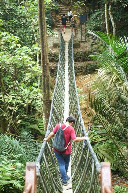 Gasing Hill - The best place for hiking in Kuala Lumpur