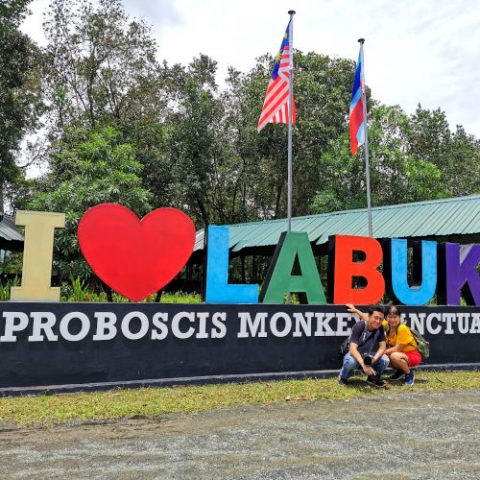 Labuk Bay Proboscis Monkey Sanctuary (amazing photos)
