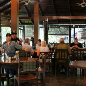 Tabin Wildlife Reserve- The best Borneo safari experience
