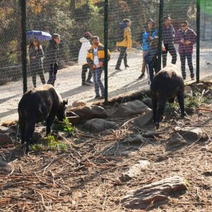 Bhutan itinerary for a six days tour- the comprehensive guide