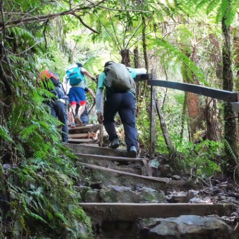 How to climb Mount Kinabalu: 16 Tips for first-time hikers