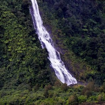 Doubtful Sound cruise- cruising the wilderness of Fiordland