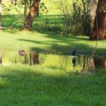 Long Bay Beach- Stunning cliffs, rock formations, breathtaking view