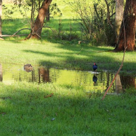 Long Bay Beach- Stunning cliffs, rock formations, breathtaking view