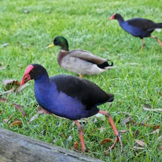 Long Bay Beach- Stunning cliffs, rock formations, breathtaking view