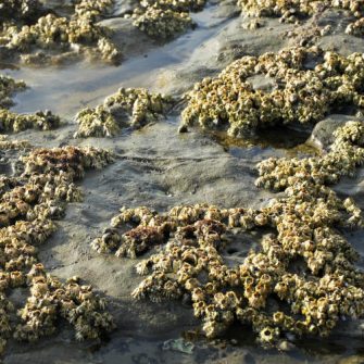 Long Bay Beach- Stunning cliffs, rock formations, breathtaking view