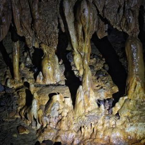 Gua Tempurung- Malaysia's top limestone cave tour in Gopeng