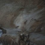 Gua Tempurung- Malaysia's top limestone cave tour in Gopeng