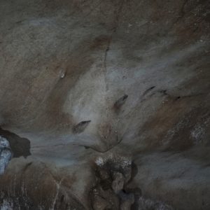 Gua Tempurung- Malaysia's top limestone cave tour in Gopeng