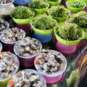 Places to visit in Miri- 10 top tourist attractions