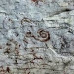 Niah Cave- Exploring cave in Niah National Park (day tour)