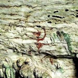 Niah Cave- Exploring cave in Niah National Park (day tour)