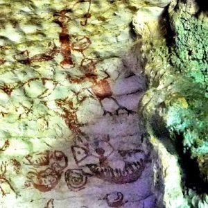 Niah Cave- Exploring cave in Niah National Park (day tour)