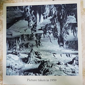 Niah Cave- Exploring cave in Niah National Park (day tour)