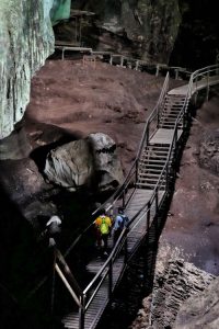 Niah Cave- Exploring cave in Niah National Park (day tour)
