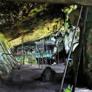 Niah Cave- Exploring cave in Niah National Park (day tour)
