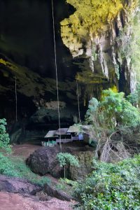Niah Cave- Exploring cave in Niah National Park (day tour)
