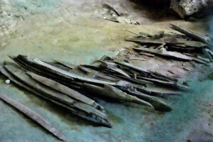 Niah Cave- Exploring cave in Niah National Park (day tour)