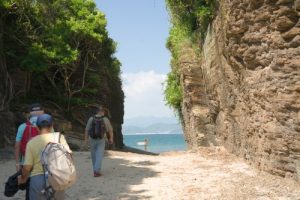 Tung Ping Chau Island guide- a must-visit place in Hong Kong