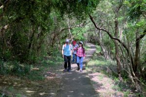 Tung Ping Chau Island guide- a must-visit place in Hong Kong