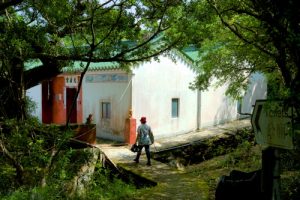 Tung Ping Chau Island guide- a must-visit place in Hong Kong