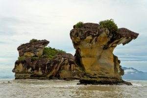 Bako National Park, Sarawak- A complete day tour guide