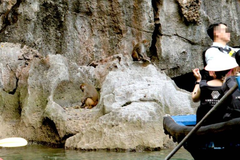 Top 3 Ha Long Bay attractions - Luan Cave, Titop Island, and Sung Sot Cave