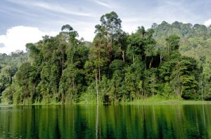 Kenyir Lake Travel Guide: Where to Go, Stay & What to Expect