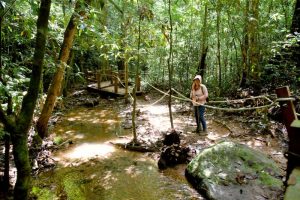 Kenyir Lake Travel Guide: Where to Go, Stay & What to Expect