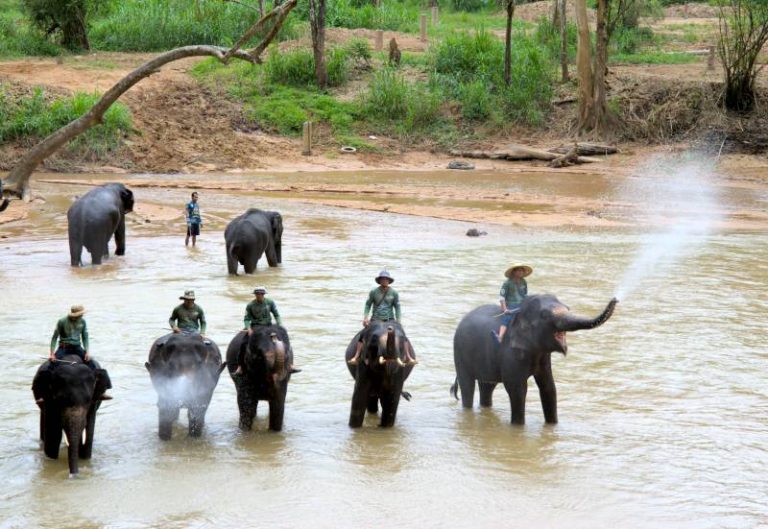 Kenyir Lake Travel Guide: Where to Go, Stay & What to Expect
