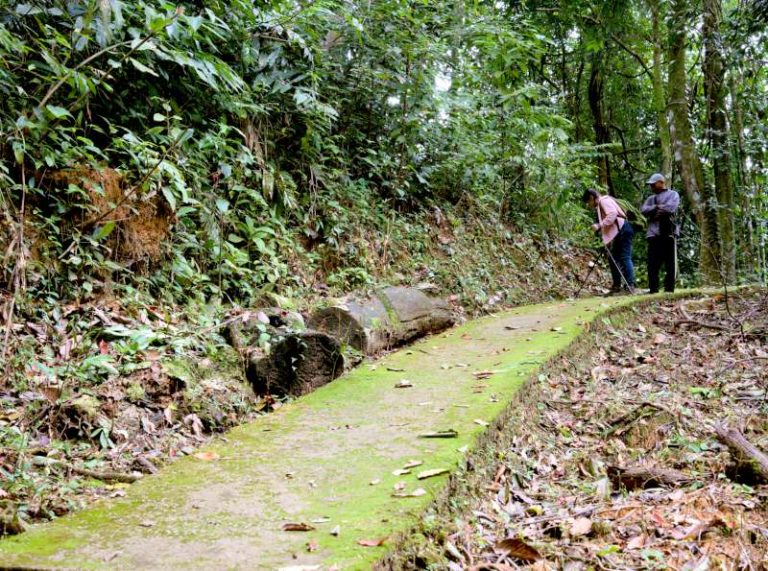 Kenyir Lake Travel Guide: Where to Go, Stay & What to Expect