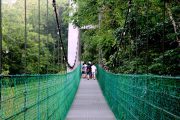 Bukit Gasing Hiking Trails: A Comprehensive Guide