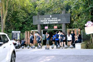 Bukit Gasing Hiking Trails: A Comprehensive Guide