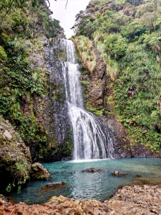 A Day Trip to Piha Beach: Exploring Lion Rock, The Gap & Kitekite Falls